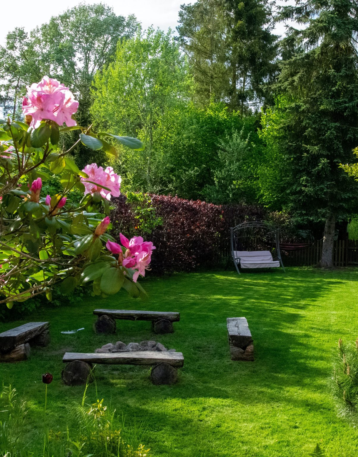 Prep Your Yard Now For A Greener Spring